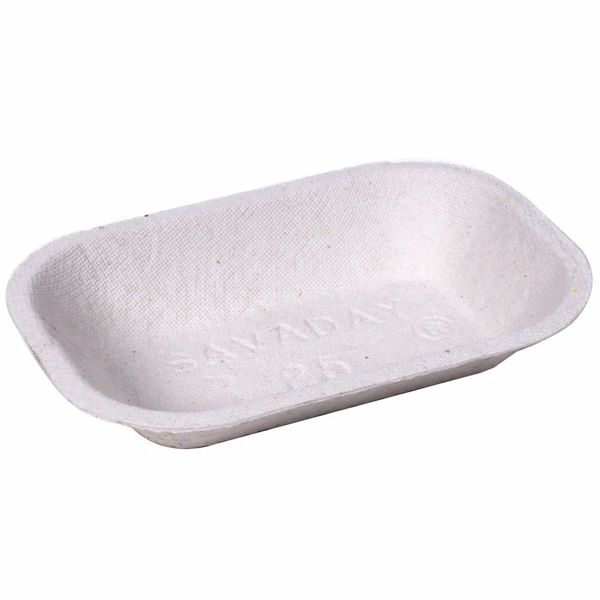 Container - CKF Savaday Food Tray – Access Pacific Enterprises